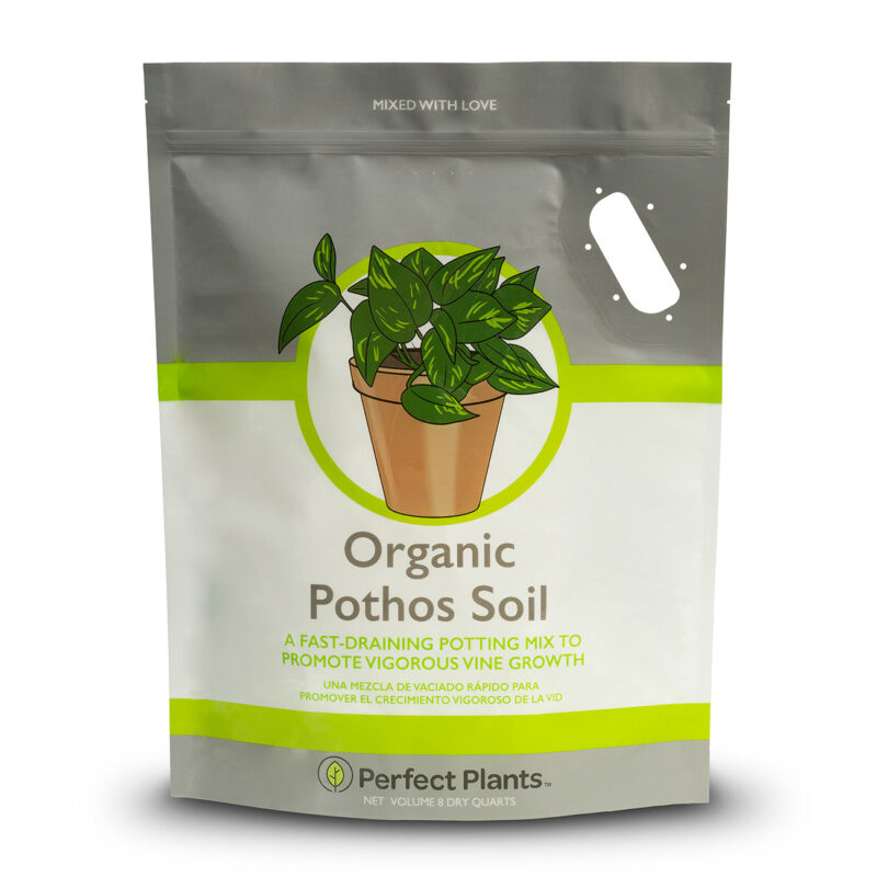 Shop for Pothos Soil Mix